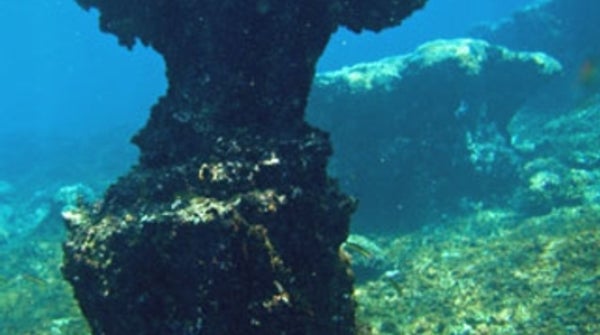 As Ocean Warms, Coral Loses Anchor in Acidic Waters - Scientific American