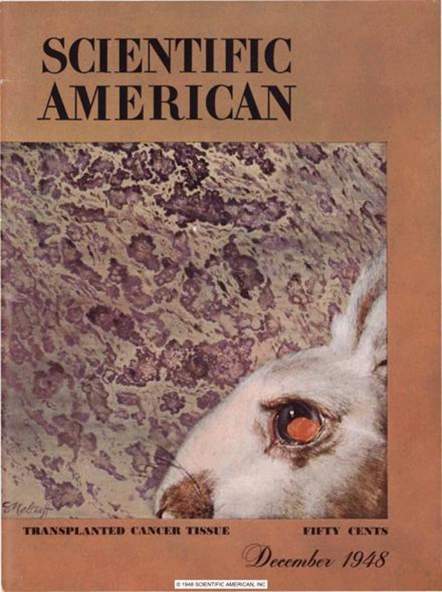 Stone Age Mathematics | Scientific American