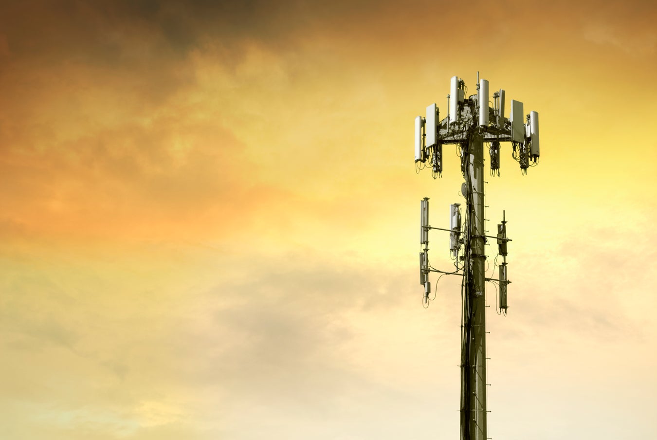 Mind Control by Cell Phone | Scientific American