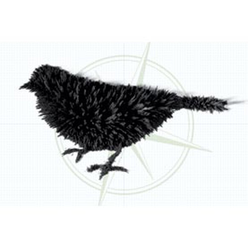 Magnetic Sense Shows Many Animals the Way to Go | Scientific American