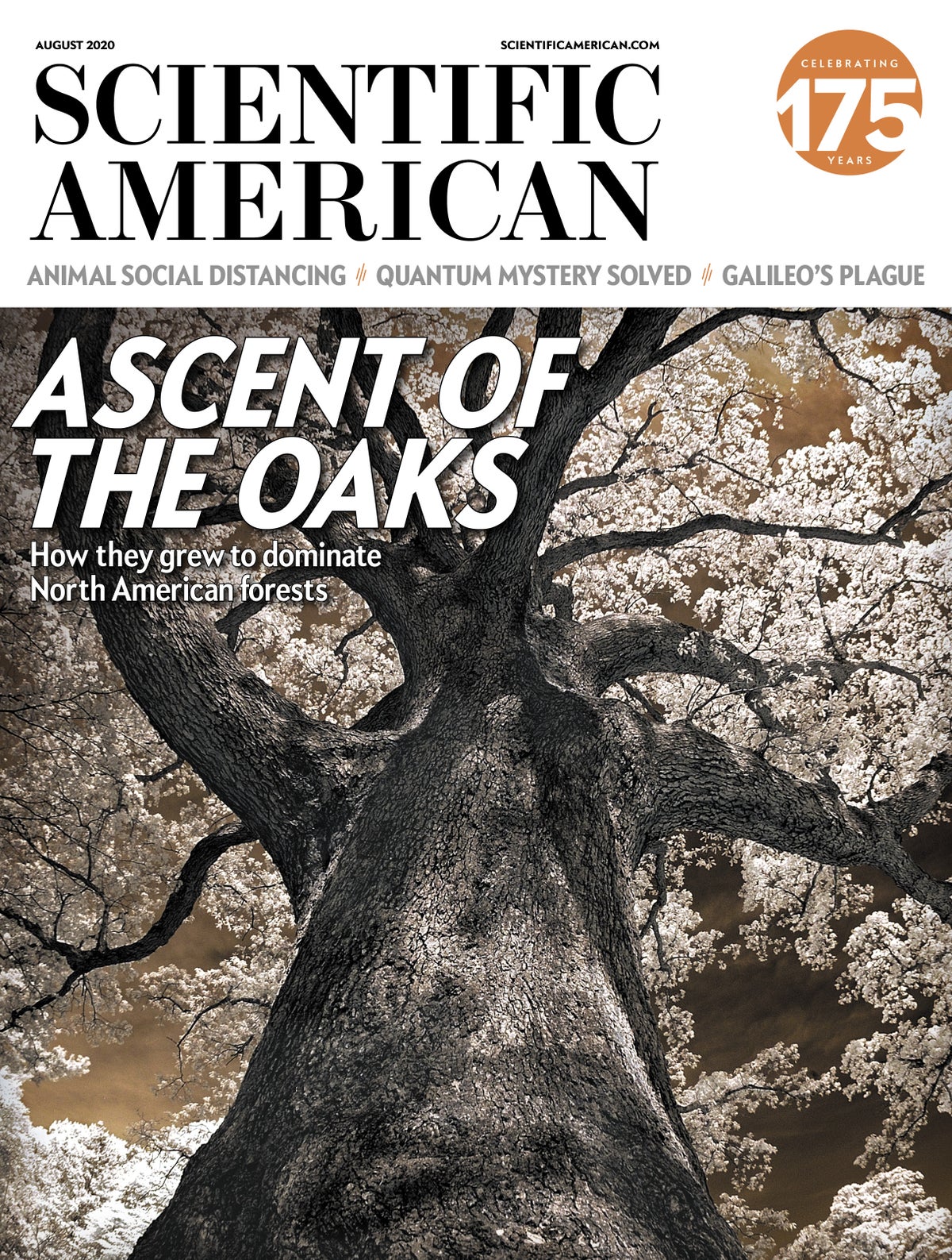 Scientific American Volume 323, Issue 2 | Scientific American