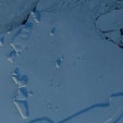 280-Million-Year-Old Fossil Forest Discovered in Antarctica ...