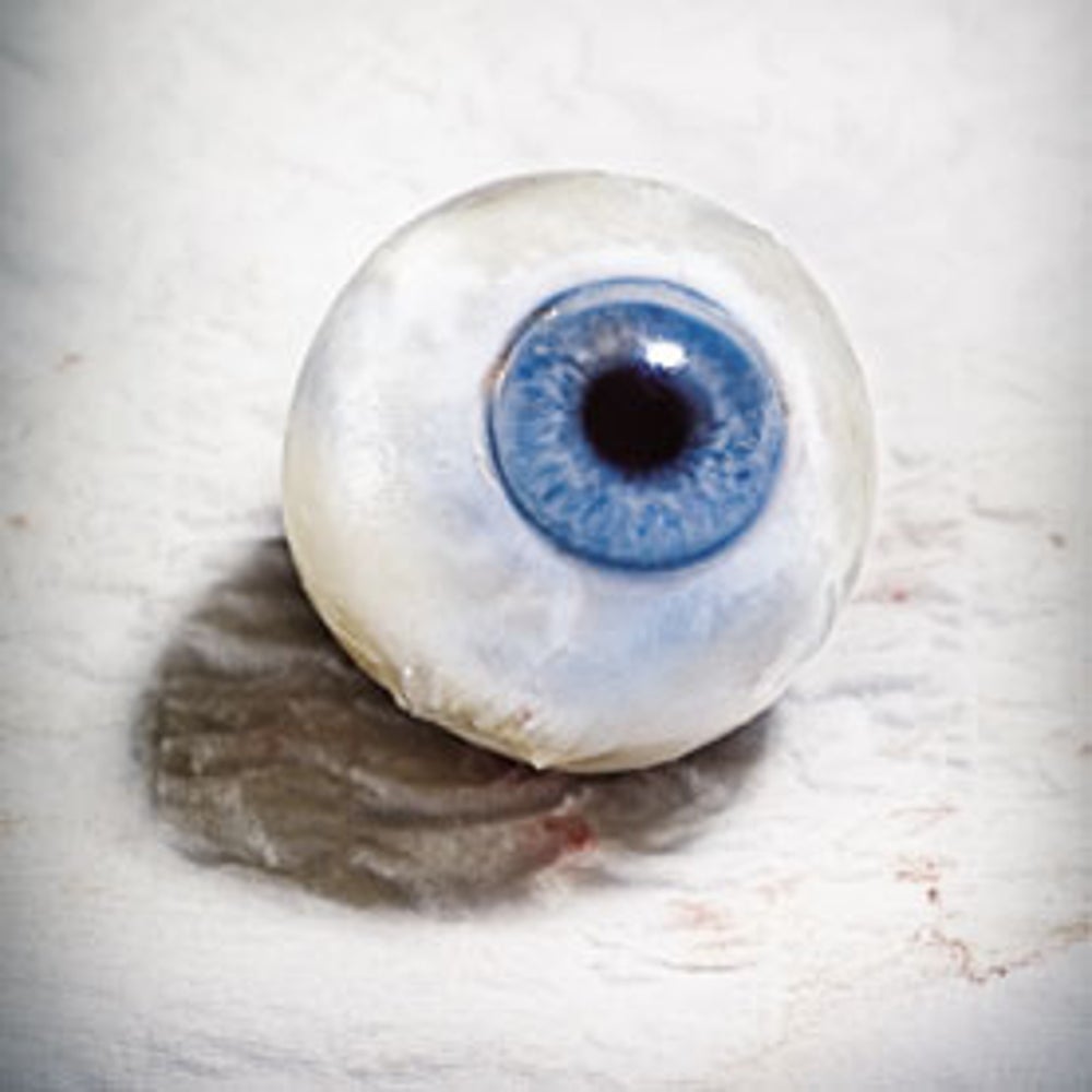 Evolution of the Eye | Scientific American