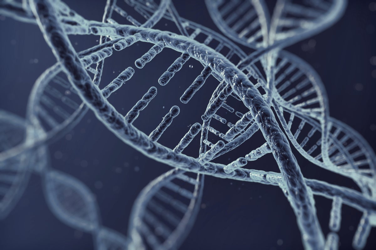 Cellular Circuit Computes with DNA | Scientific American