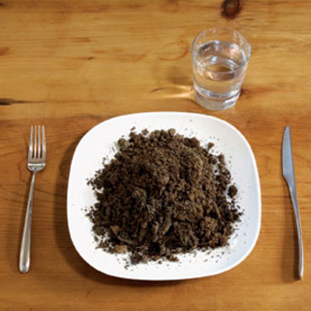 Would You Like a Side of Dirt with That? | Scientific American