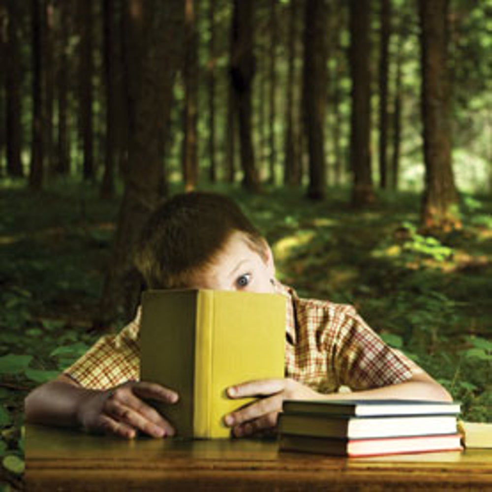 Primal Brain in the Modern Classroom | Scientific American