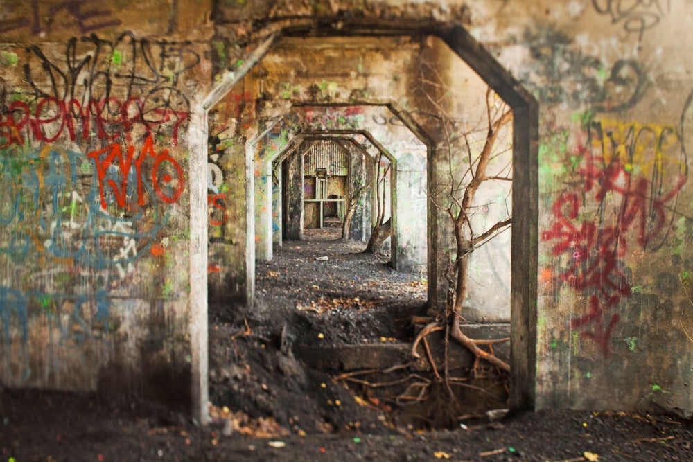 Guns Kill Kids in Cities, Too | Scientific American