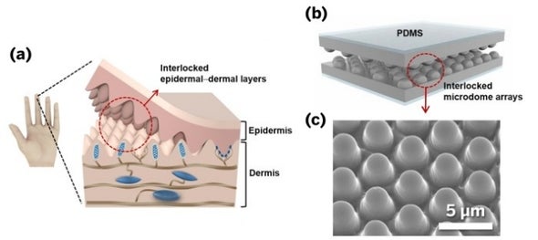 Touch Sensors Can Now Mimic Our Skin's Detection of Stretching and ...