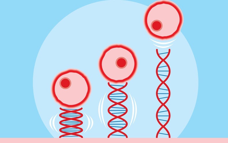 Scientists Create the Smallest-Ever Moving Cell - Scientific American