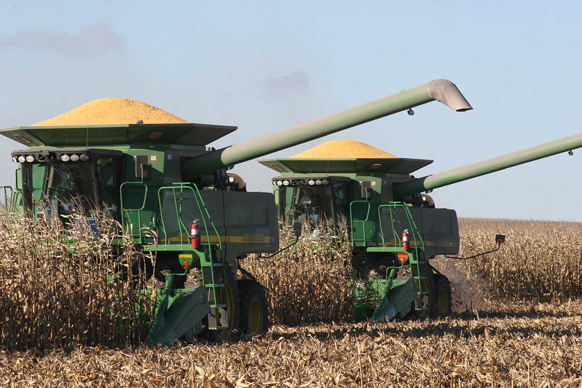 Microbes Added to Seeds Could Boost Crop Production | Scientific American