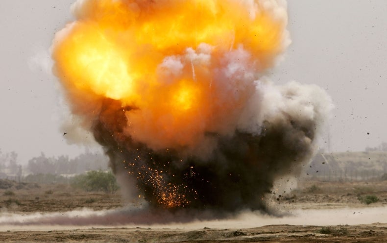 Damage to Pea-Size Gland May Cause PTSD-Like Symptoms - Scientific American