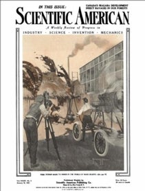 The Story of the Prune - Scientific American