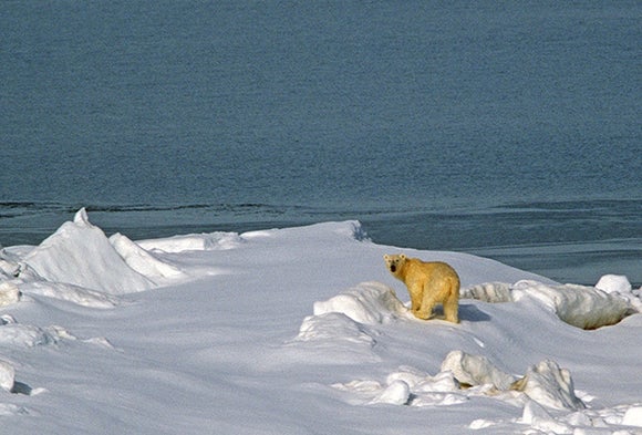 Have We Passed the Point of No Return on Climate Change? - Scientific ...