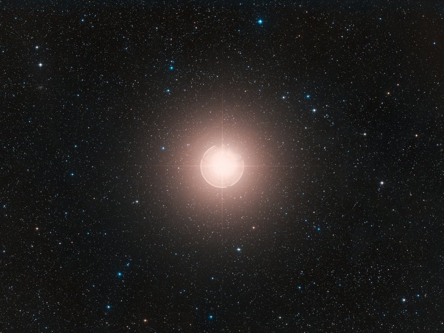 Betelgeuse's Brightening Raises Hopes for a Supernova Spectacle ...