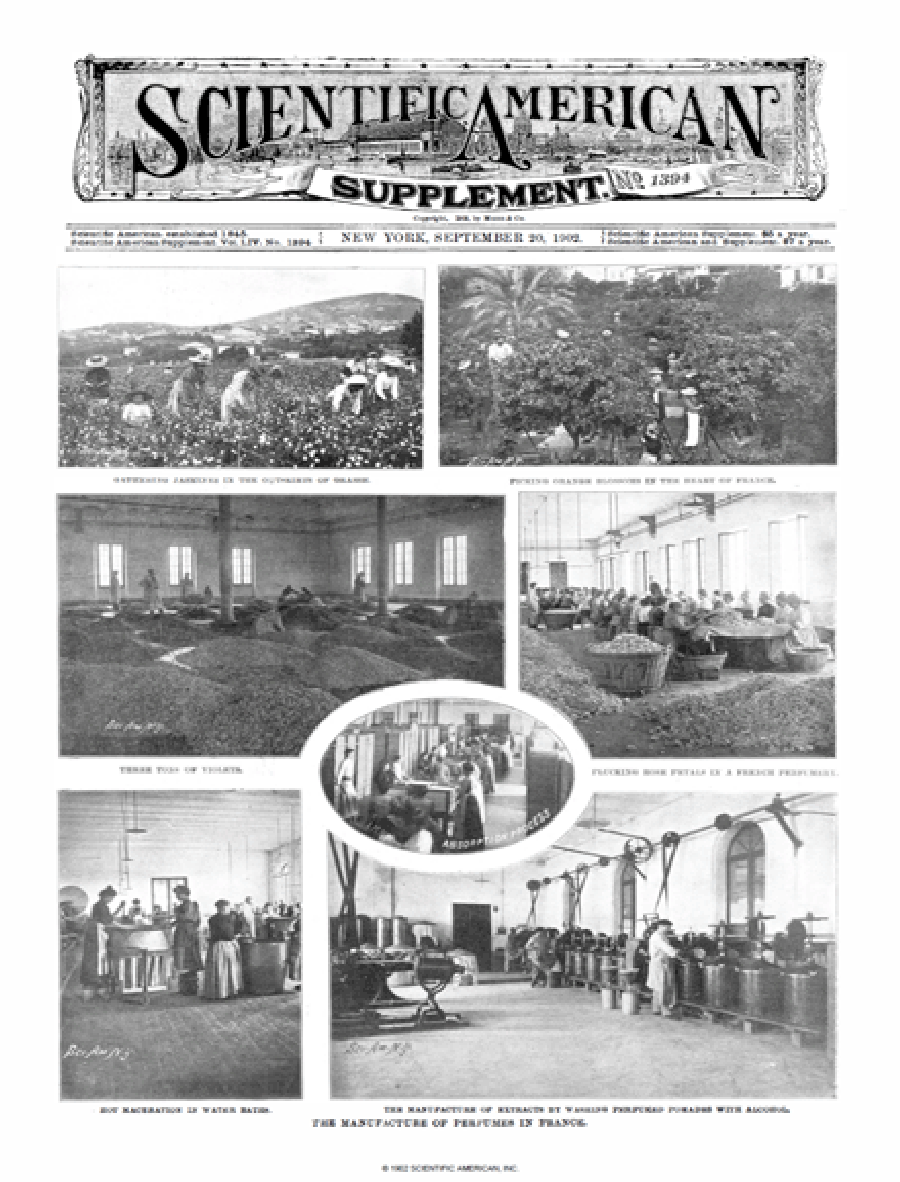 Issue Archive - 1902 | Scientific American