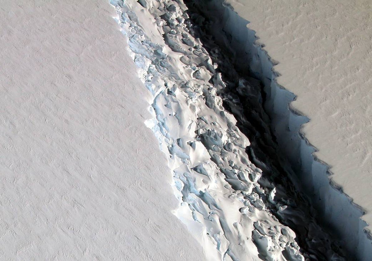 Massive Iceberg's Split Exposes Hidden Ecosystem | Scientific American