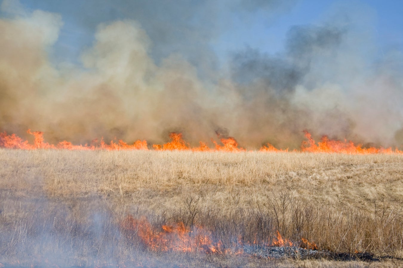 Don't Downplay the Role of Indigenous People in Molding the Ecological ...