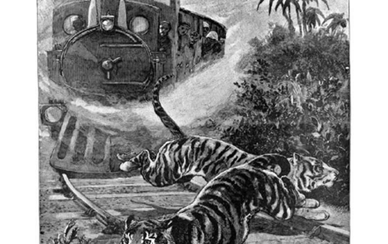 October 05, 1895 - Scientific American