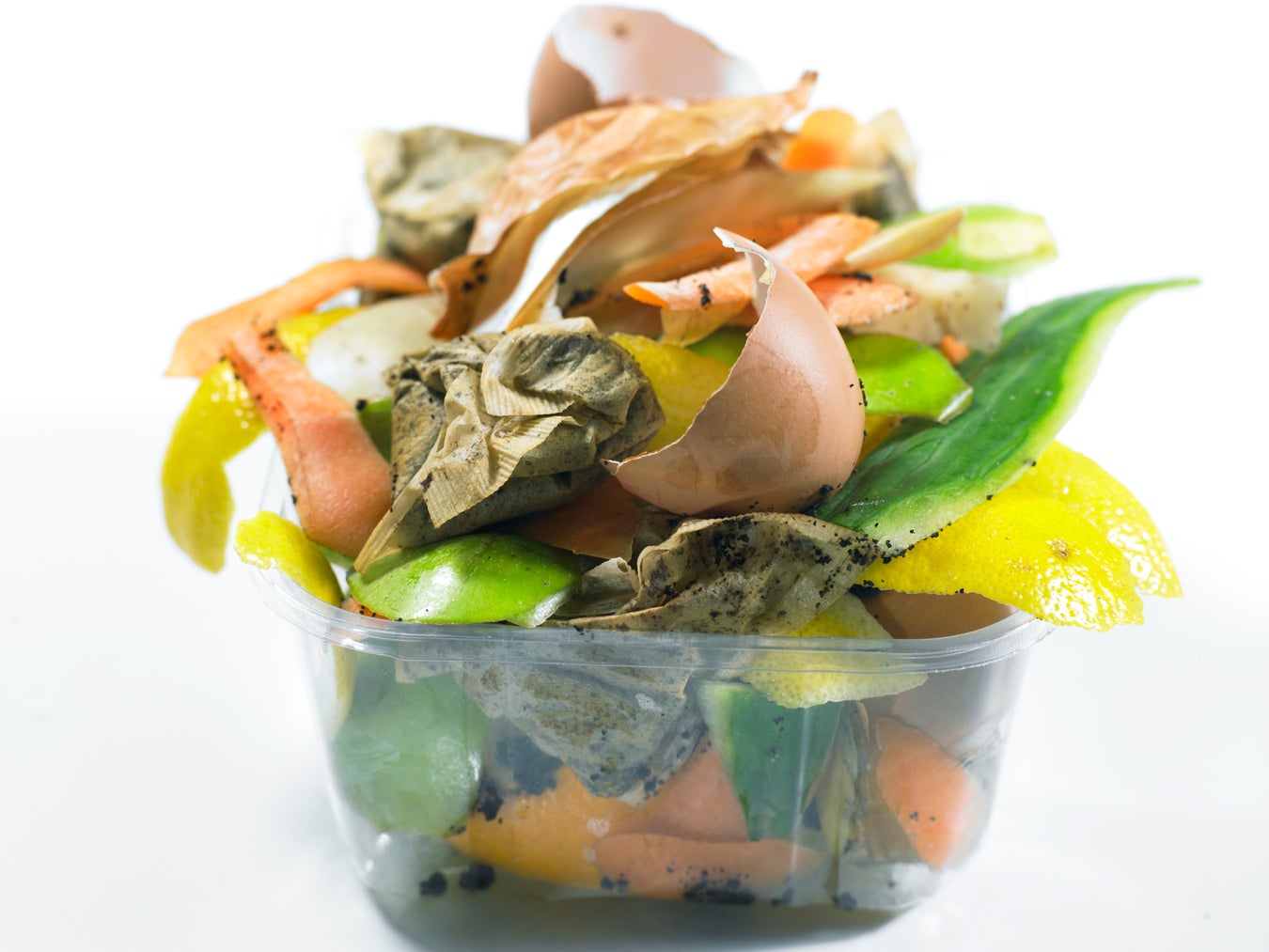 The First Comprehensive Look at Global Food Waste Is as Bad as You'd ...