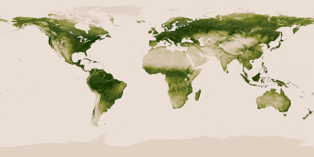 A Year in the Life of a Green Planet | Scientific American