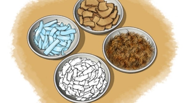 Sorbent Science: Cleaning Oil Spills - Scientific American