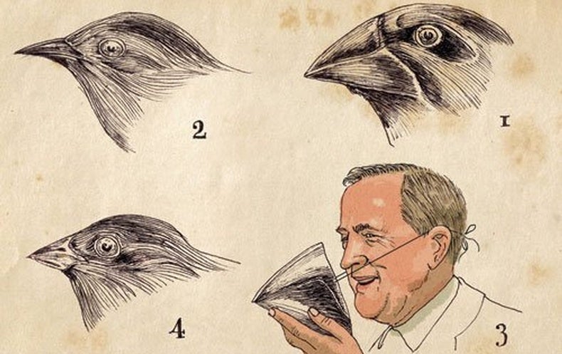 The Case for Scientific Humanism - Scientific American