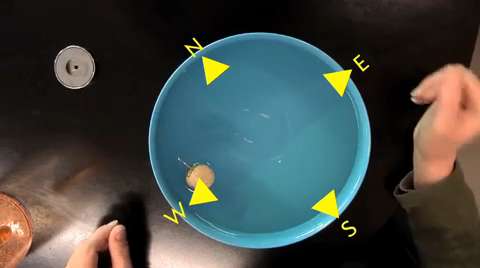 Bring Science Home: Make a homemade compass - Scientific American