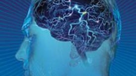 Stories by Marcus E. Raichle News and Research - Scientific American