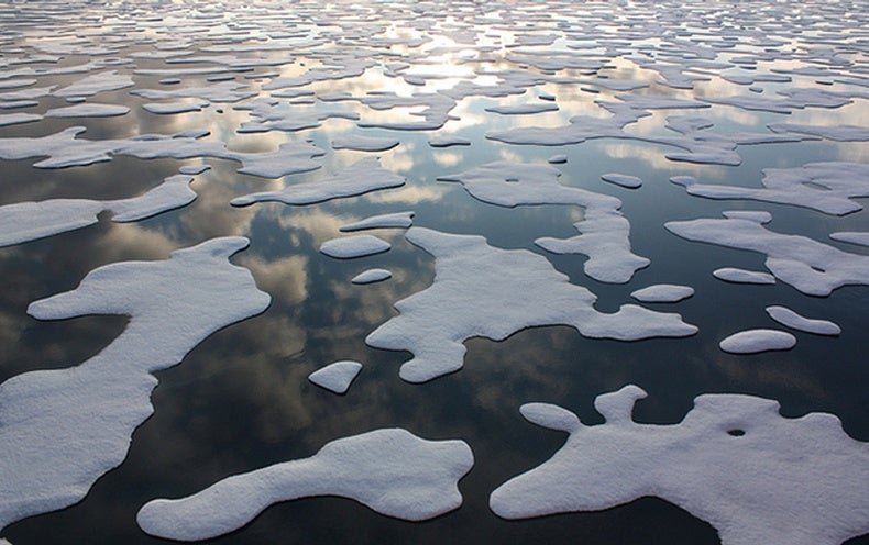 The Arctic Is a Profoundly Different Place Now - Scientific American