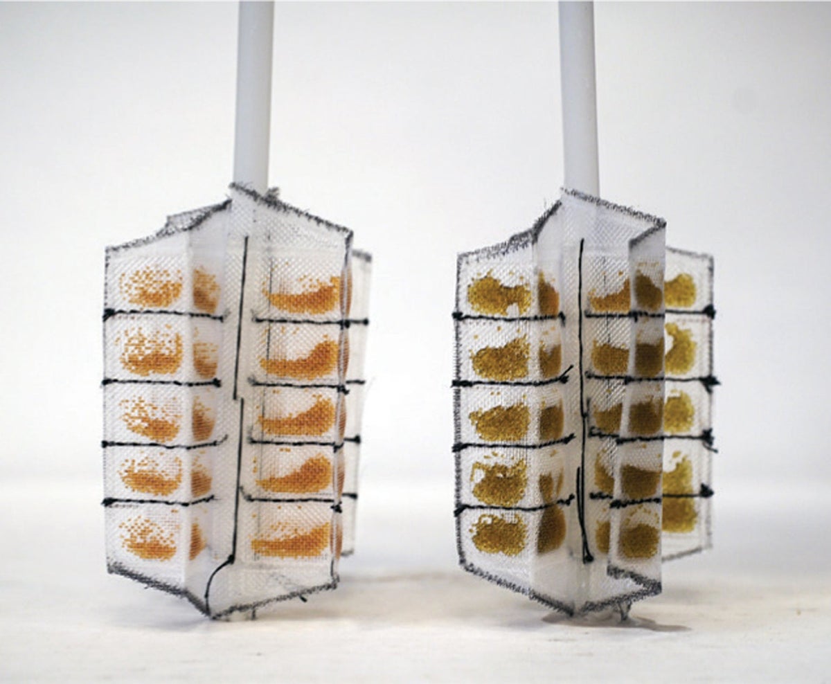 Low-Tech Water Wand Finds Contaminated Drinking Water | Scientific American