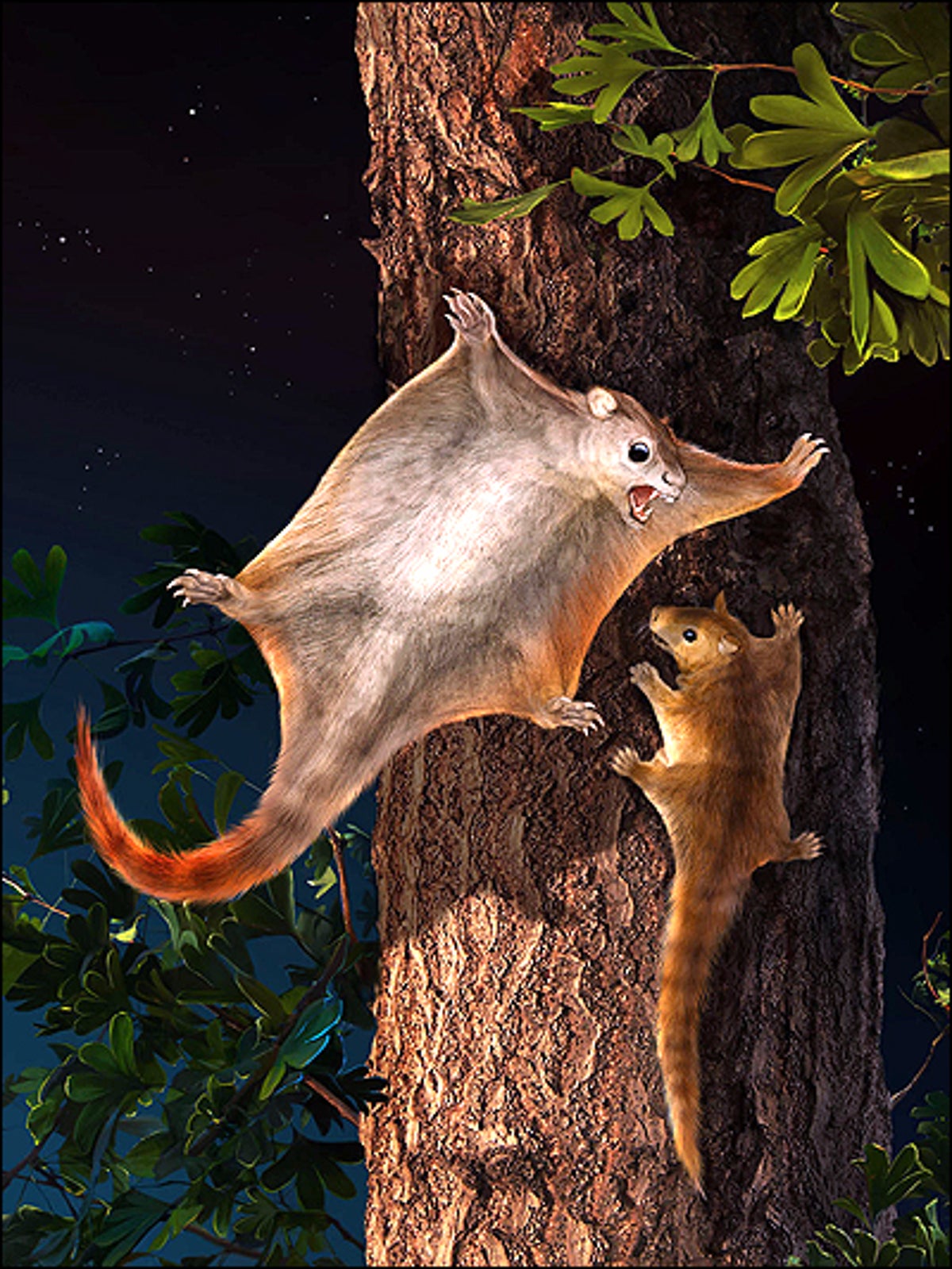 Flying Attack Squirrel | Scientific American