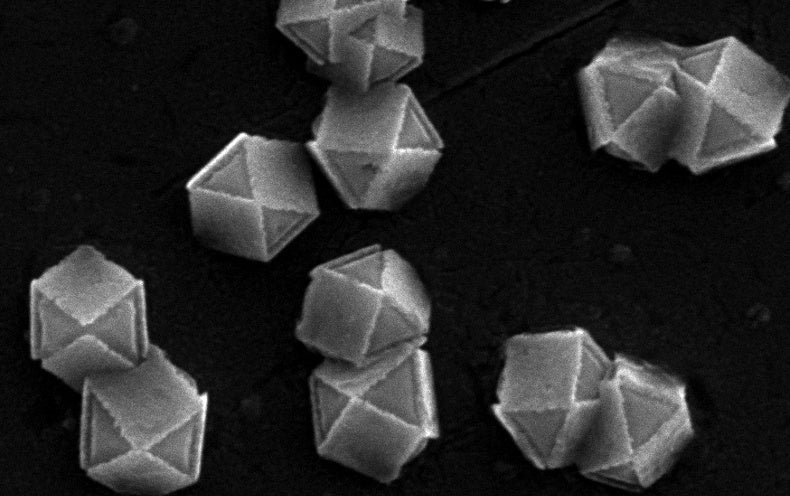 Scientists Sculpt Nanoparticle Shells with Light - Scientific American