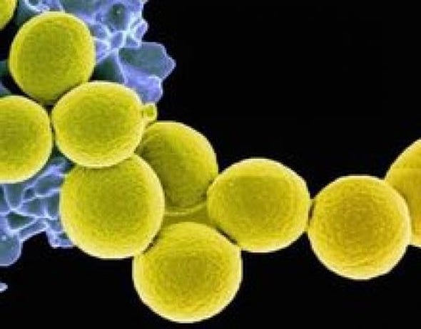 Science News Briefs From All Over - Scientific American