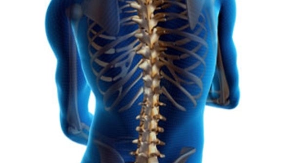 New Bone Cement Could Improve Spinal Treatments for Osteoporosis ...