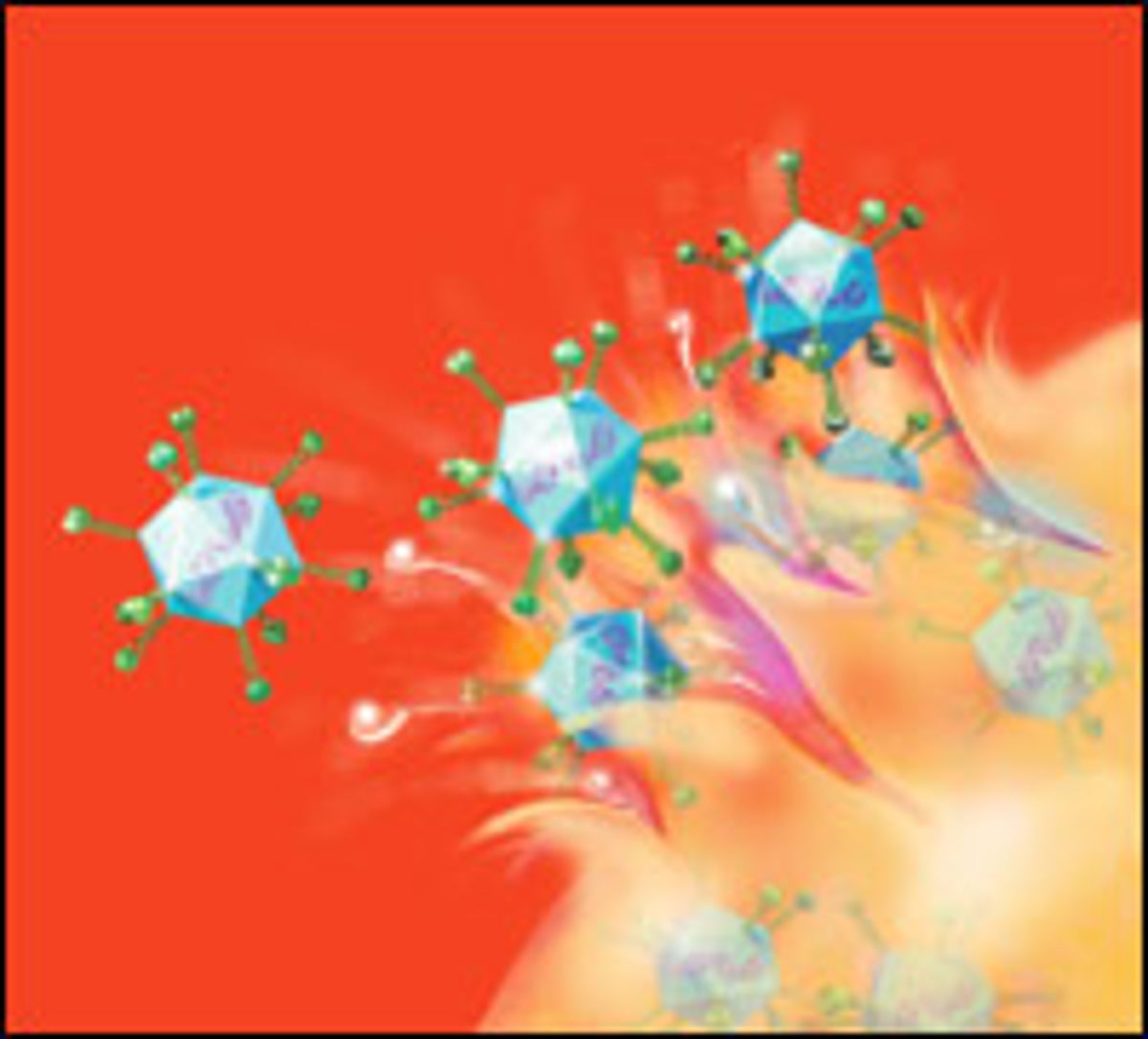 Tumor-Busting Viruses | Scientific American