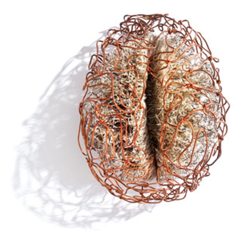 White Matter Matters | Scientific American