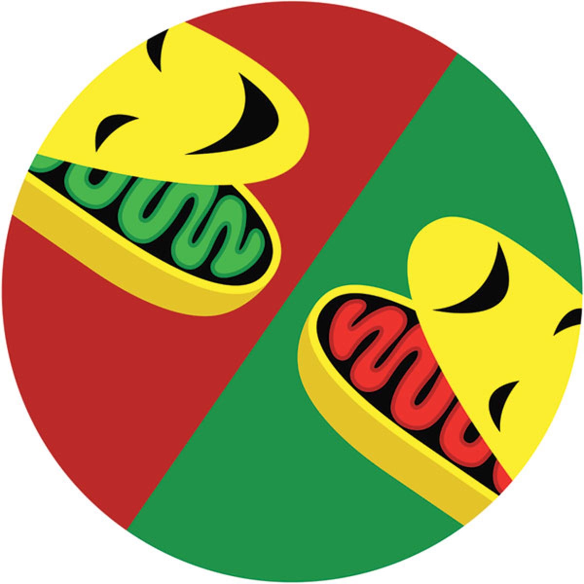 A Brief History of Plastic's Conquest of the World | Scientific American