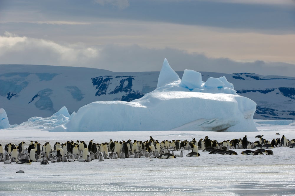 China and Russia Continue to Block Protections for Antarctica ...