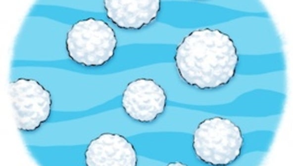 Starchy Science: Creating Your Own Colloid - Scientific American