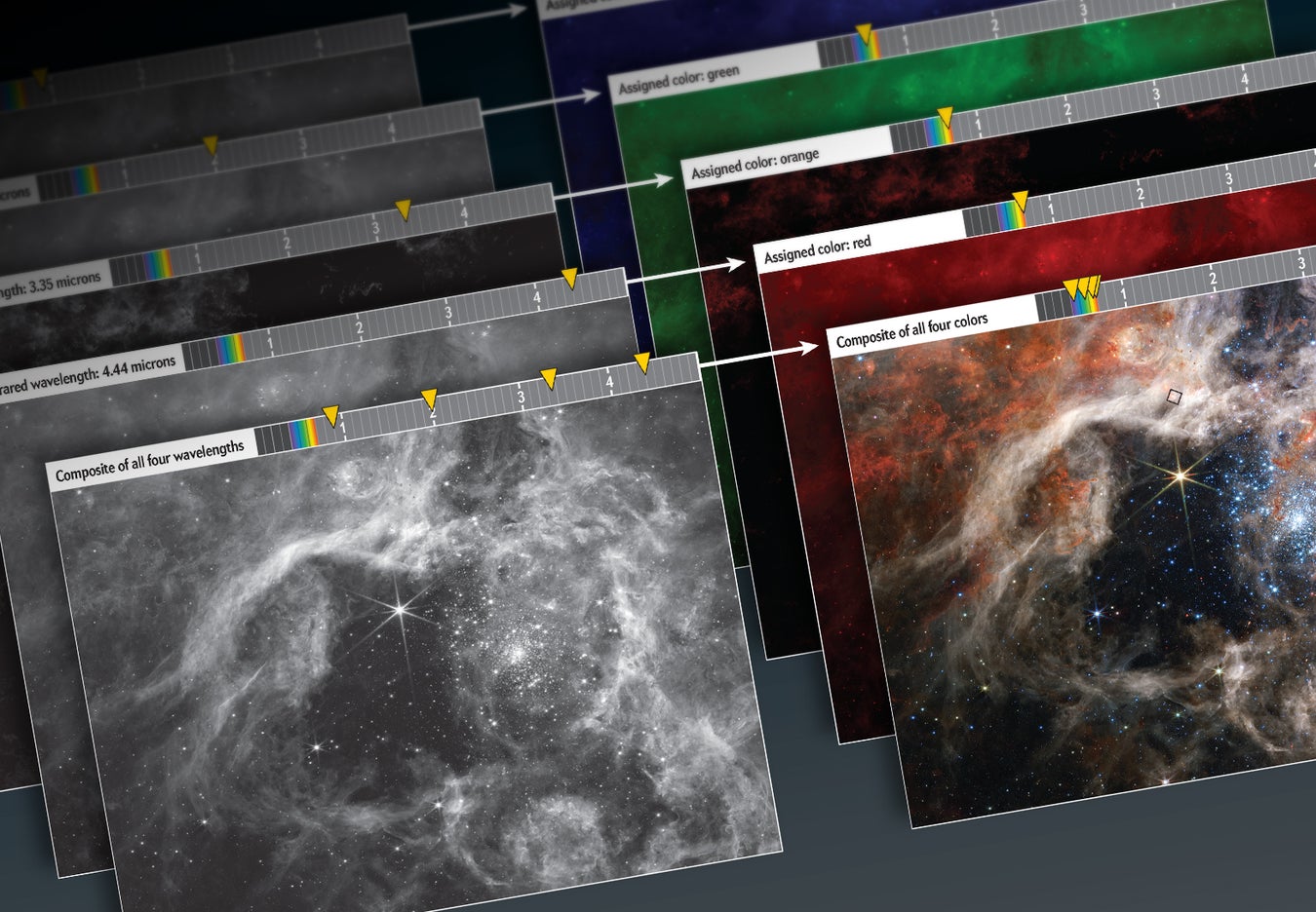 Are the James Webb Space Telescope's Pictures 'Real'? | Scientific American