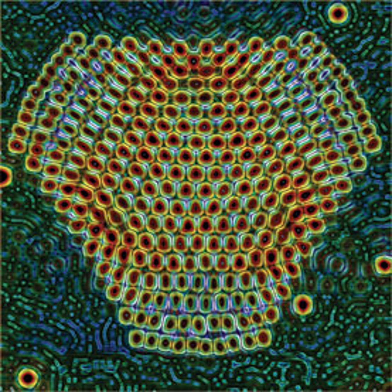 What Is It? | Scientific American