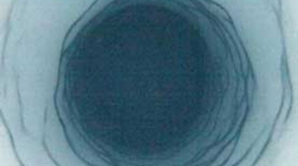 Life Discovered under Ice in Antarctic Lake - Scientific American