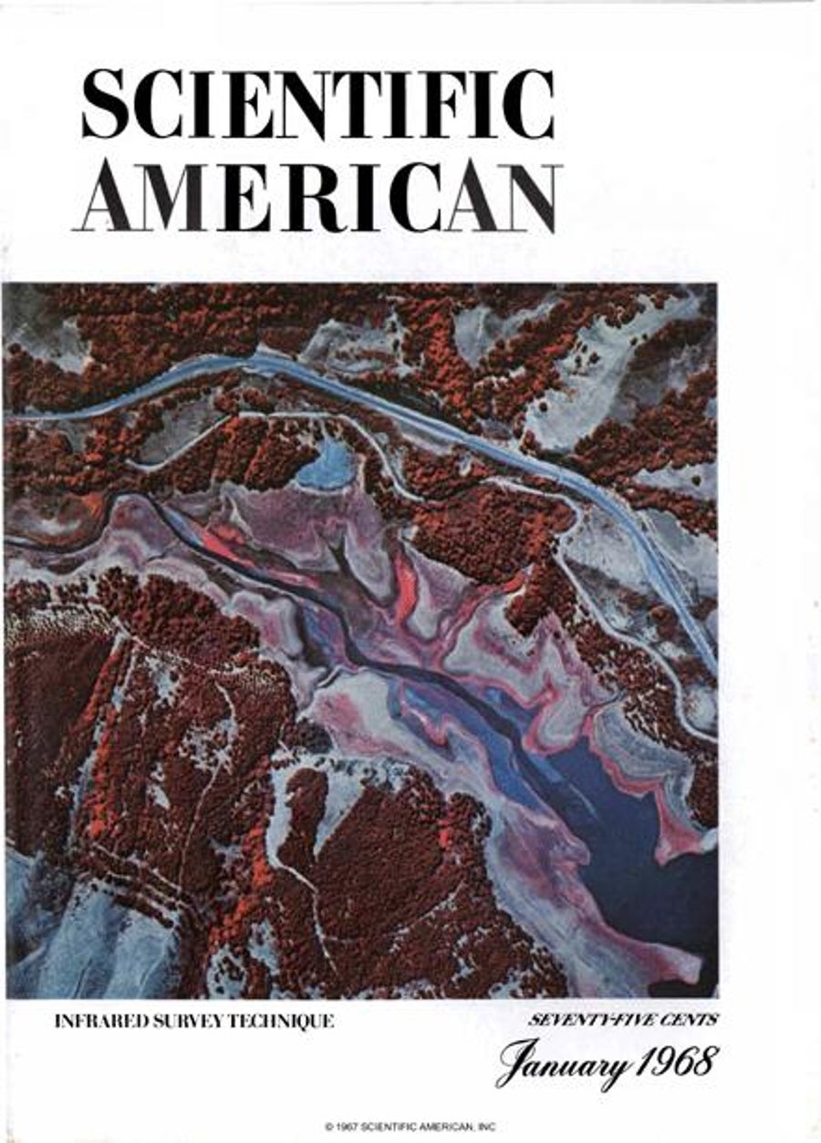 The Amateur Scientist | Scientific American