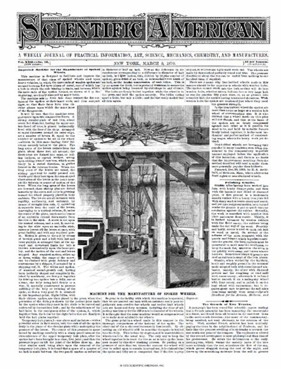 The Cultivation of Timber | Scientific American