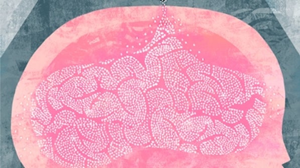 Sand Pile Model of the Mind Grows in Popularity - Scientific American