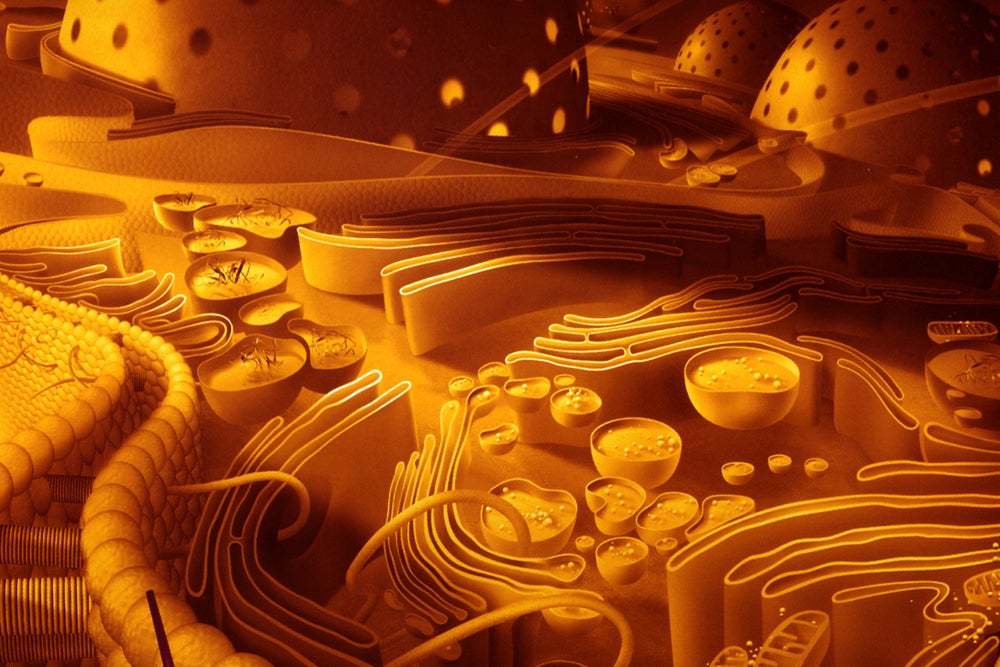 Heated Debate Persists over the Origins of Complex Cells | Scientific ...