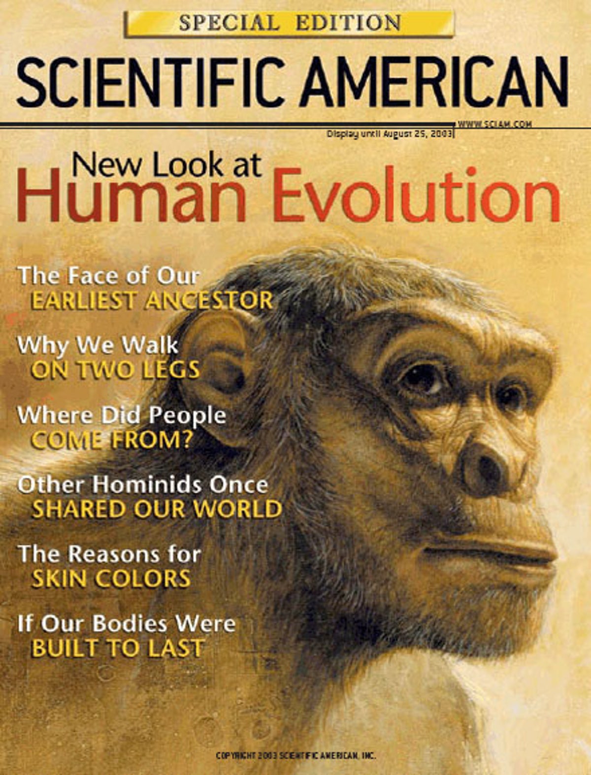 New Look at Human Evolution | Scientific American