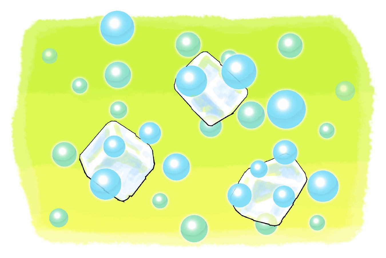 The Business of Fizziness: Find Your Soda's Fizz! | Scientific American