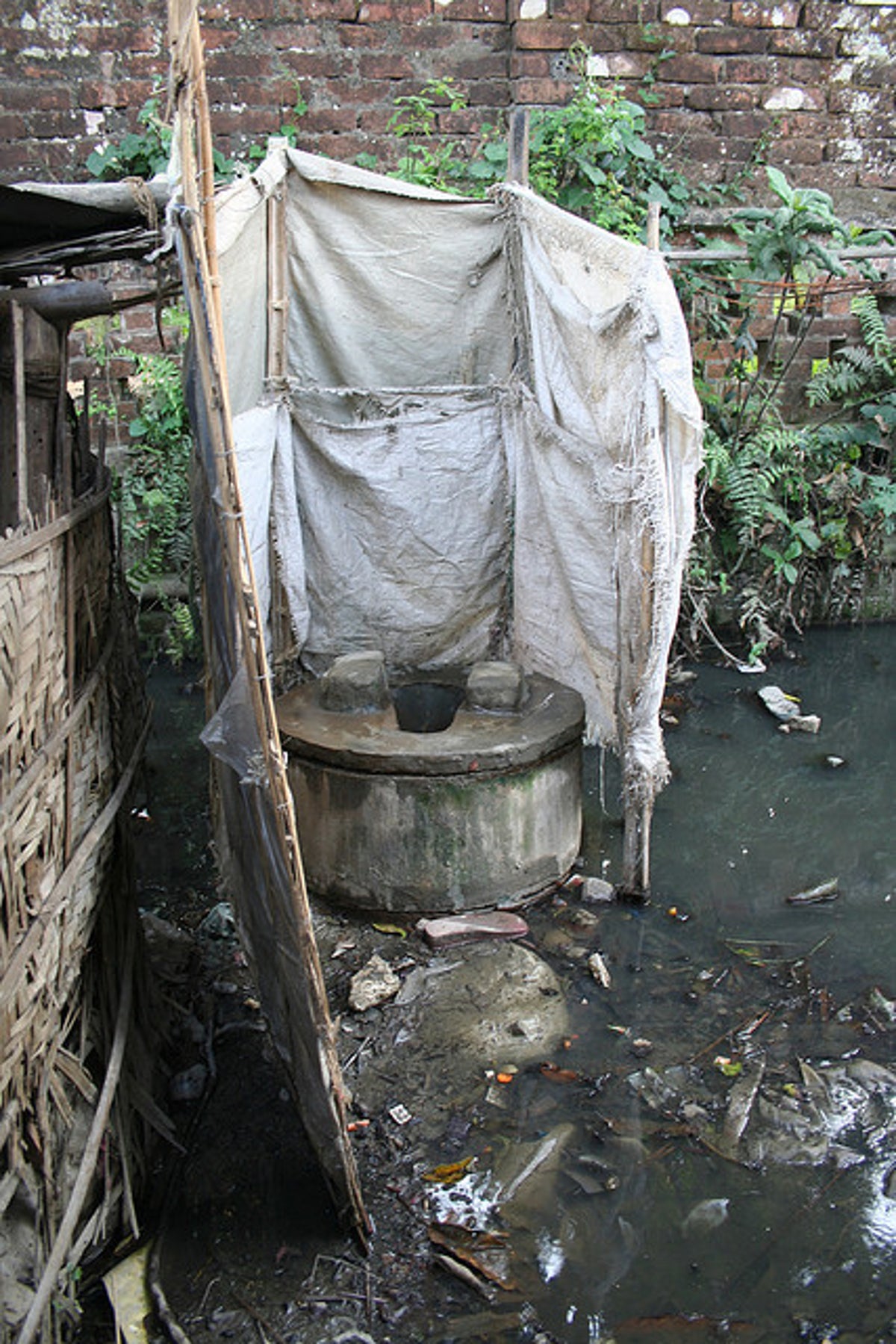 Faith and Toilets | Scientific American