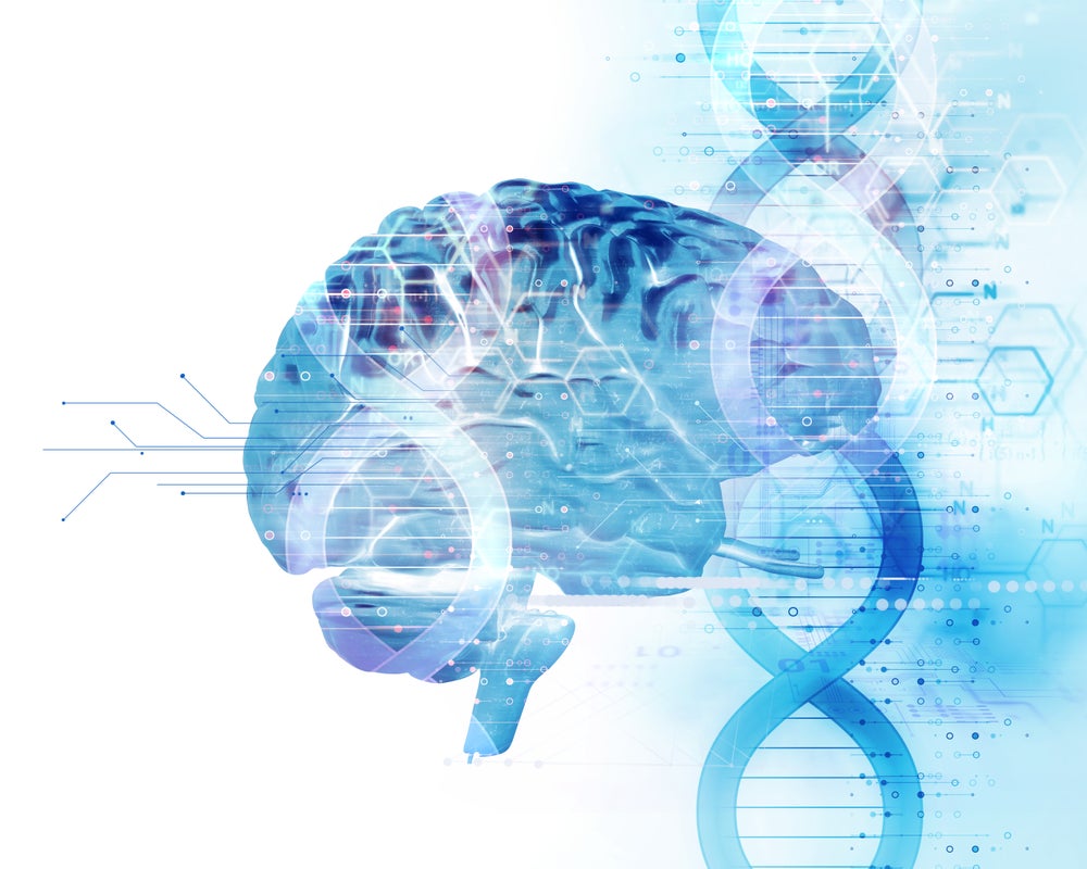Early Life Experience: It's in Your DNA | Scientific American